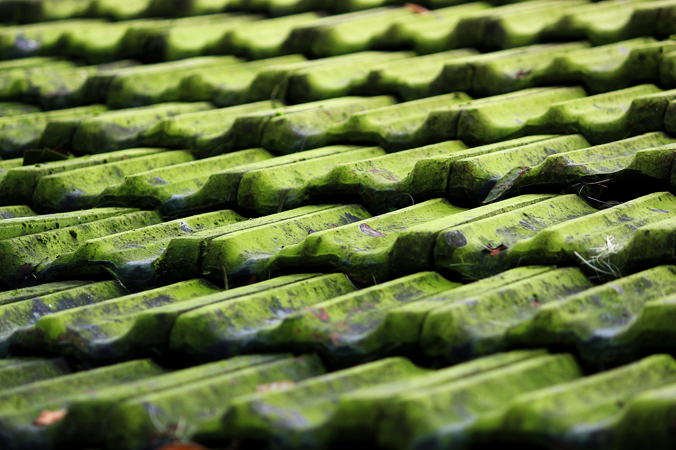 Fliserens eller algebehandling? Sådan bliver terrassen alge-fri